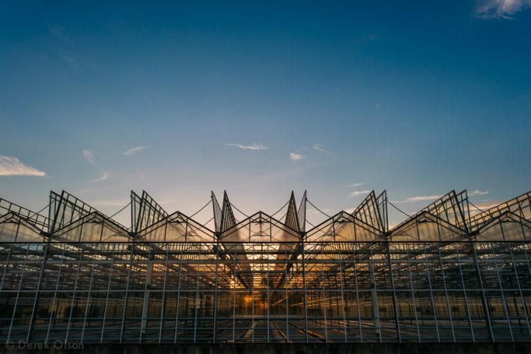 Derek Olson Photography Blog